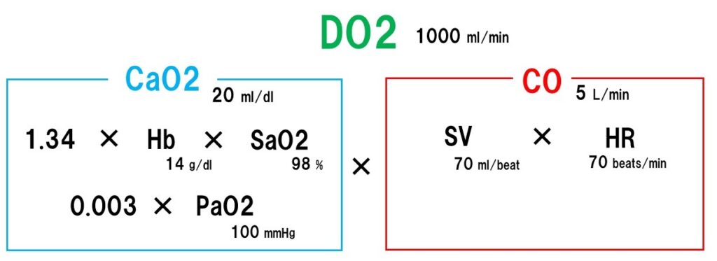 酸素供給について紐解いていく - おっさん理学療法士はこう考える